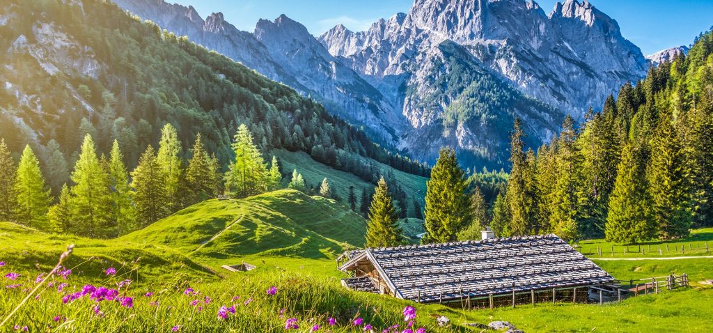 Geovital – Radiation free Building for healthier homes - Heading ...